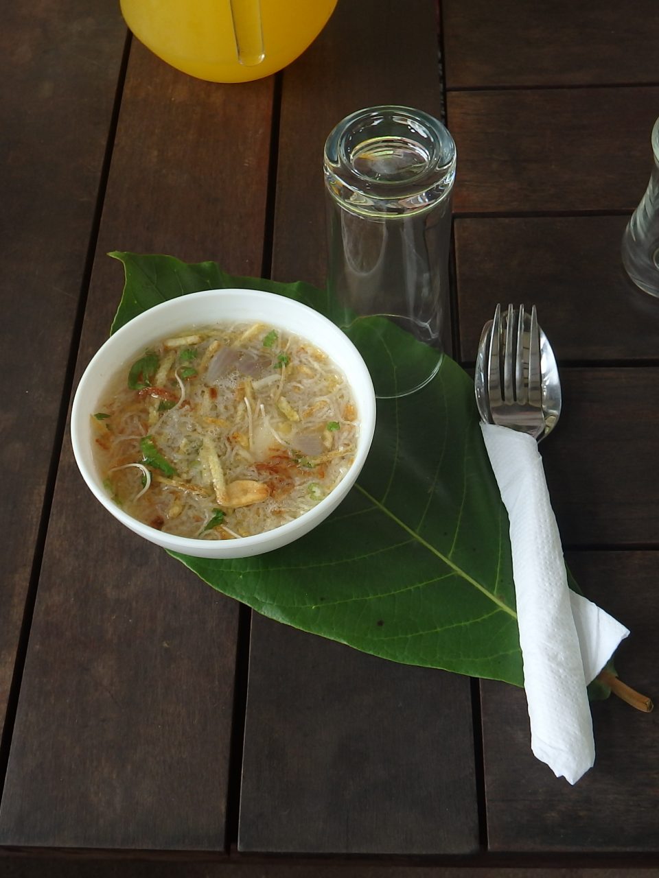 Dick's Look: Lady Curzon - Suriname Holidays